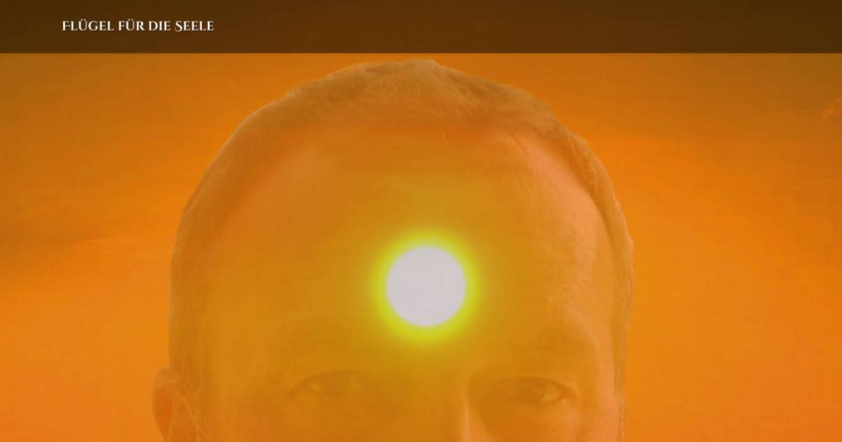 Flügel für die Seele - Home